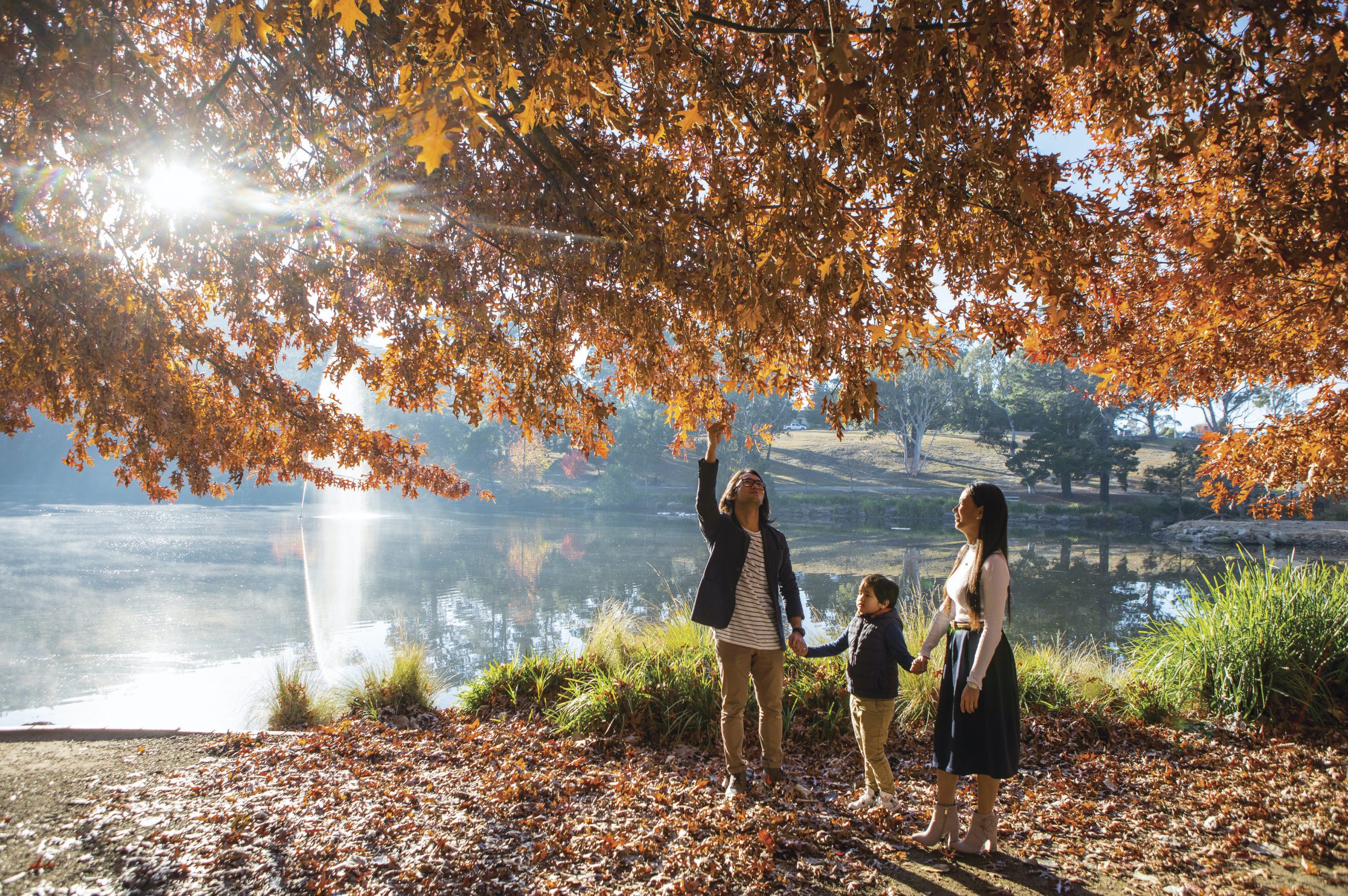 Best Southern Highlands Getaway: Where to Stay, Eat, Drink & Explore ...
