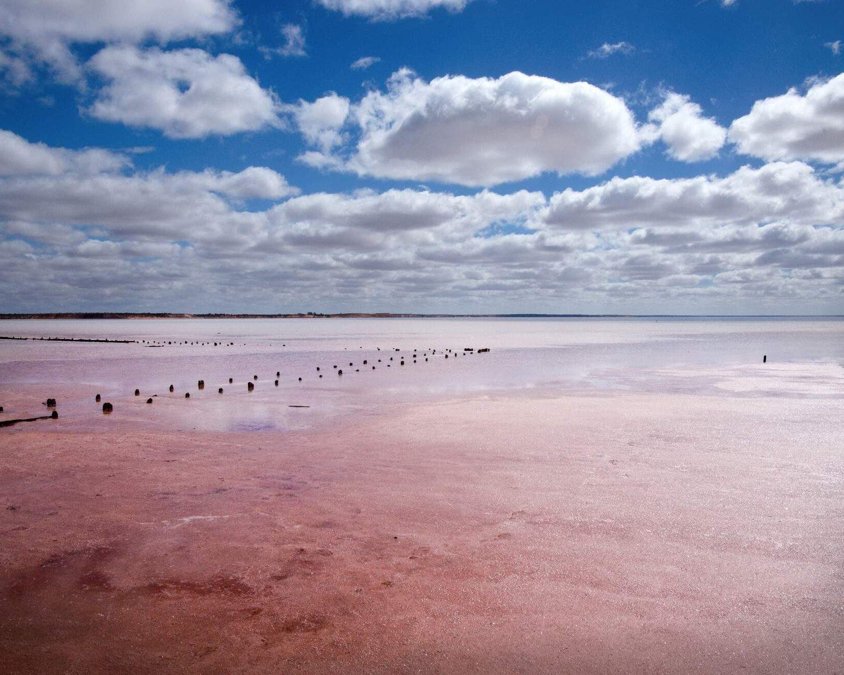 7 Pink Lakes in Australia that everyone must visit once - KAYAK