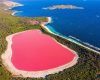 7 Pink Lakes in Australia that everyone must visit once - KAYAK